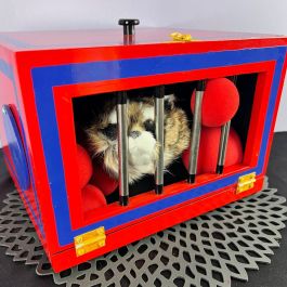 Action Box jetzt entdecken